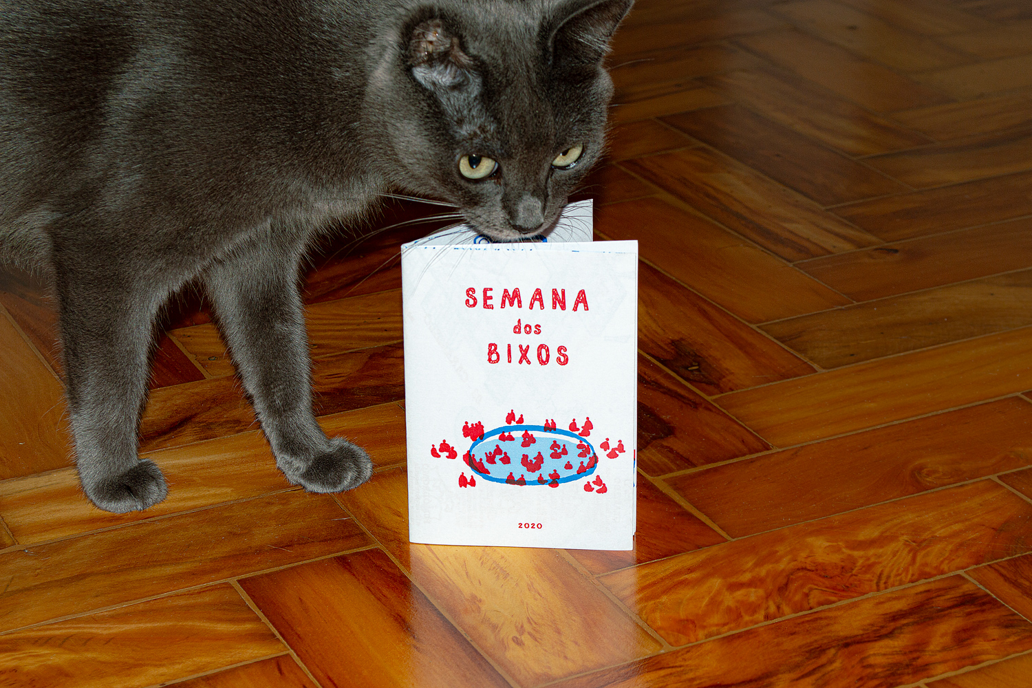 João Generoso - Semana dos Bixos